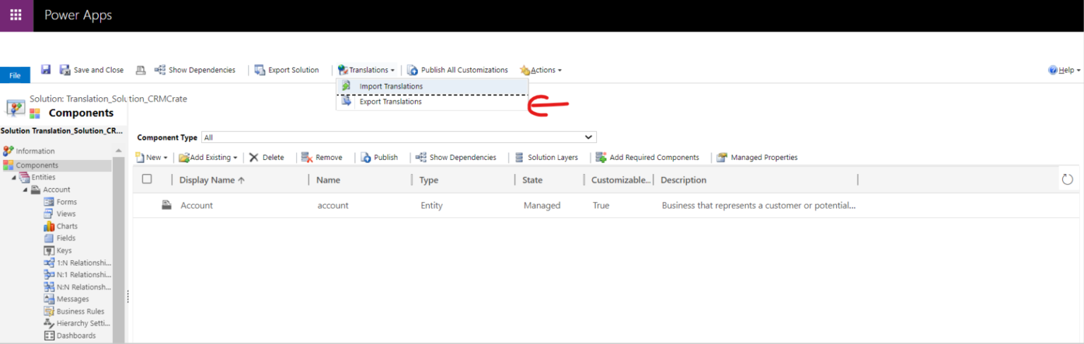 Exporting And Importing Translations In Dynamics 365 Crm Crm Crate